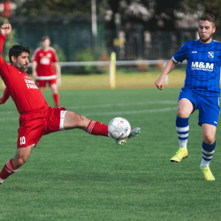 Exploring API-Driven Insights into Sports Data Metrics