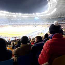 Understanding Sports Data Feeds: A Beginner’s Roadmap to Business Growth