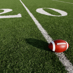 Unlocking the World of Sports Data APIs