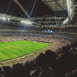 All about Real-Time Live Sports Data APIs