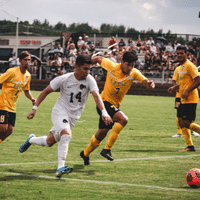 How to select the best Sports Data Provider?